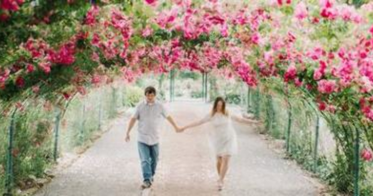 Dating ideas for couples?
