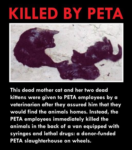 6 Legitimate Reasons to Hate On PETA