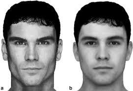 What Are the Characteristics of a Masculine Face?