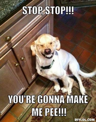 10 Dog Memes Guaranteed to Make You Smile