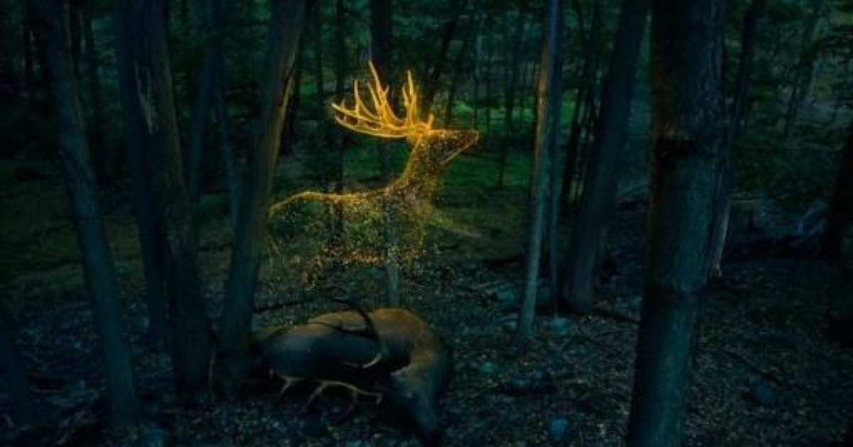 Post-Halloween Take: 20 of the Most Famous American Cryptids - GirlsAskGuys