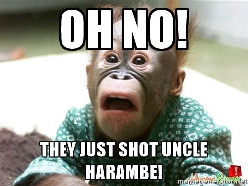 10 Funny Primate Memes - GirlsAskGuys