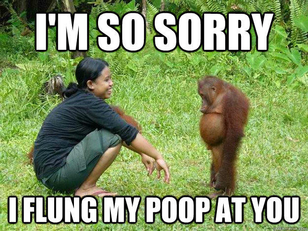 10 Funny Primate Memes - GirlsAskGuys