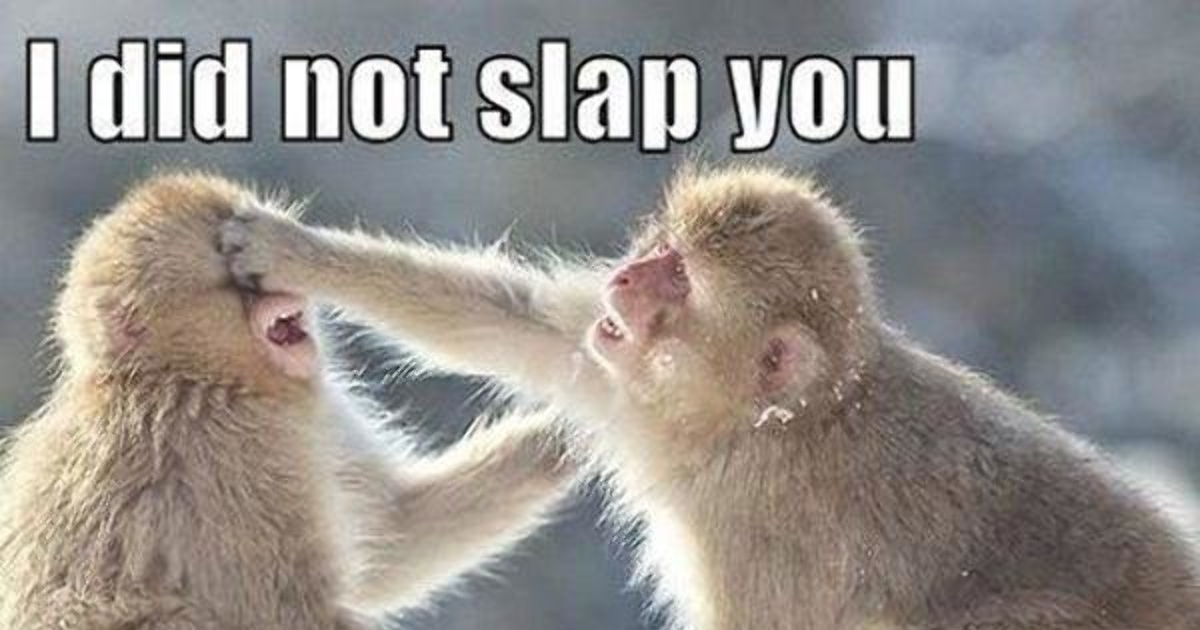 10 Funny Primate Memes - GirlsAskGuys