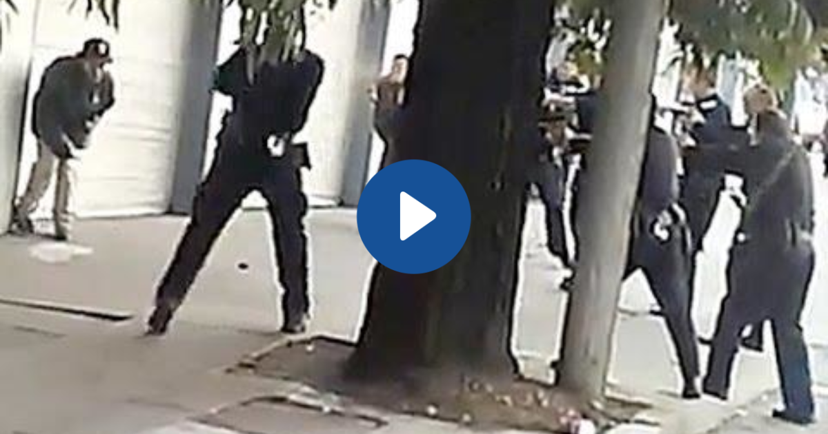 How society makes a difference in how police handles different ...