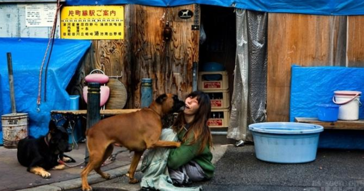Poverty and Homelessness in Japan, in Pictures - GirlsAskGuys
