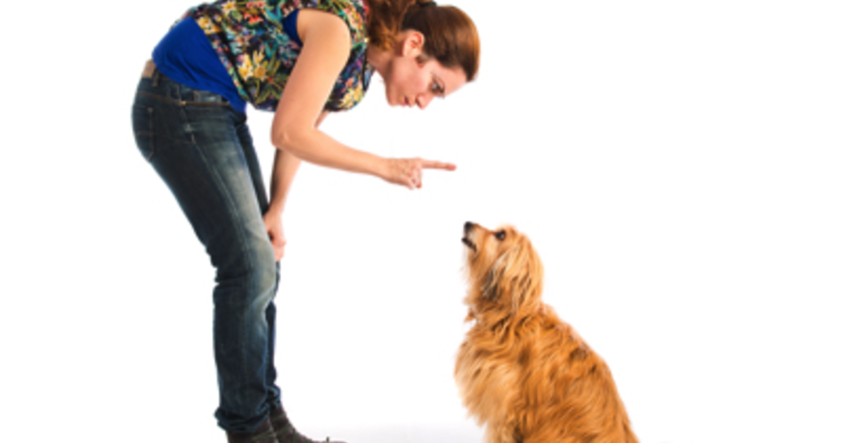If someone hates dogs let them be. - GirlsAskGuys