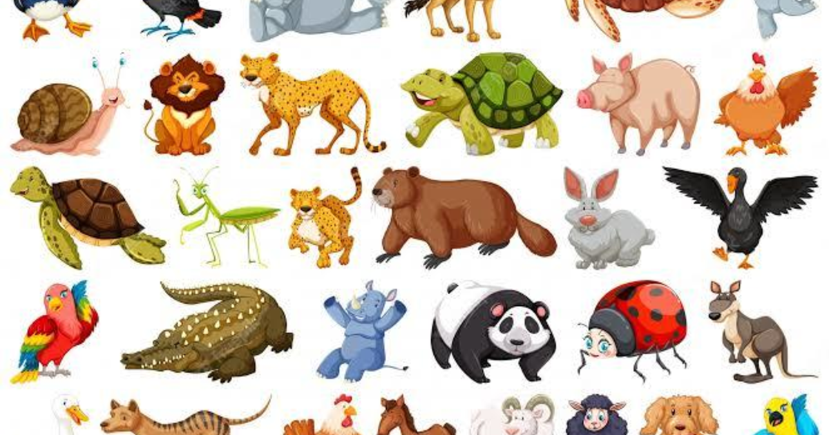 Can non vegan/non vegetarian people be animals lovers? - GirlsAskGuys