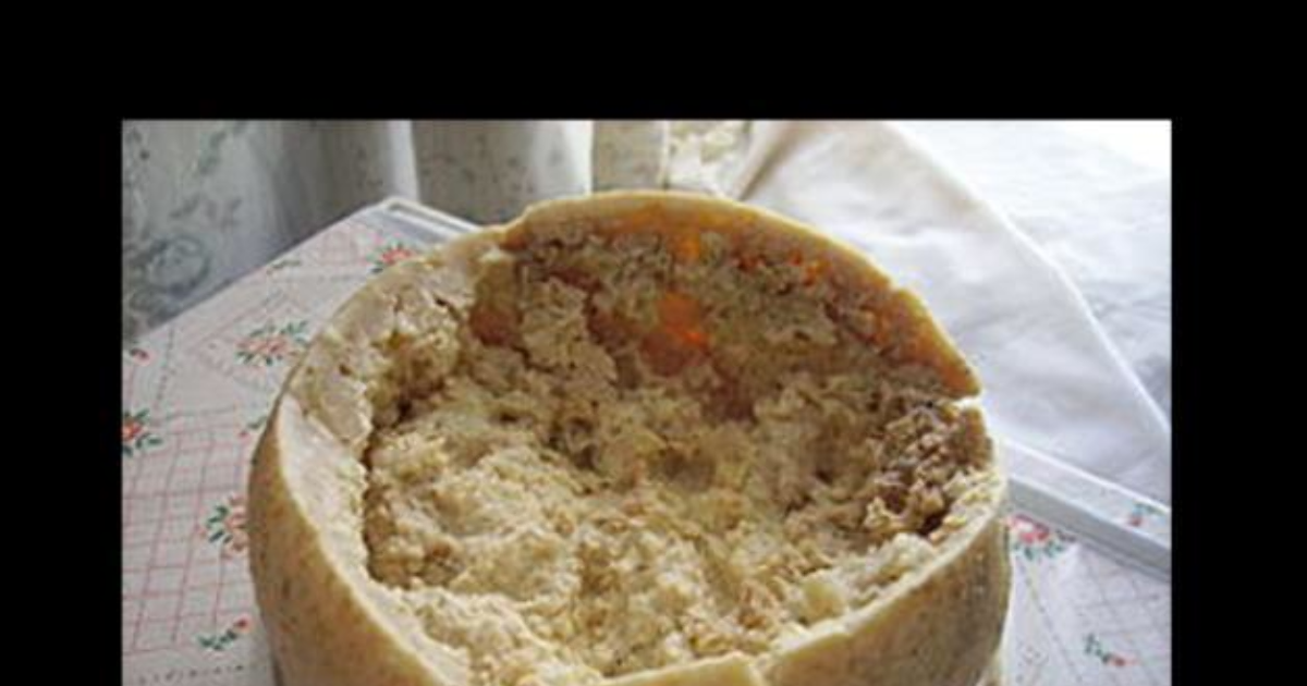 Would you eat cheese with maggots in it? - GirlsAskGuys