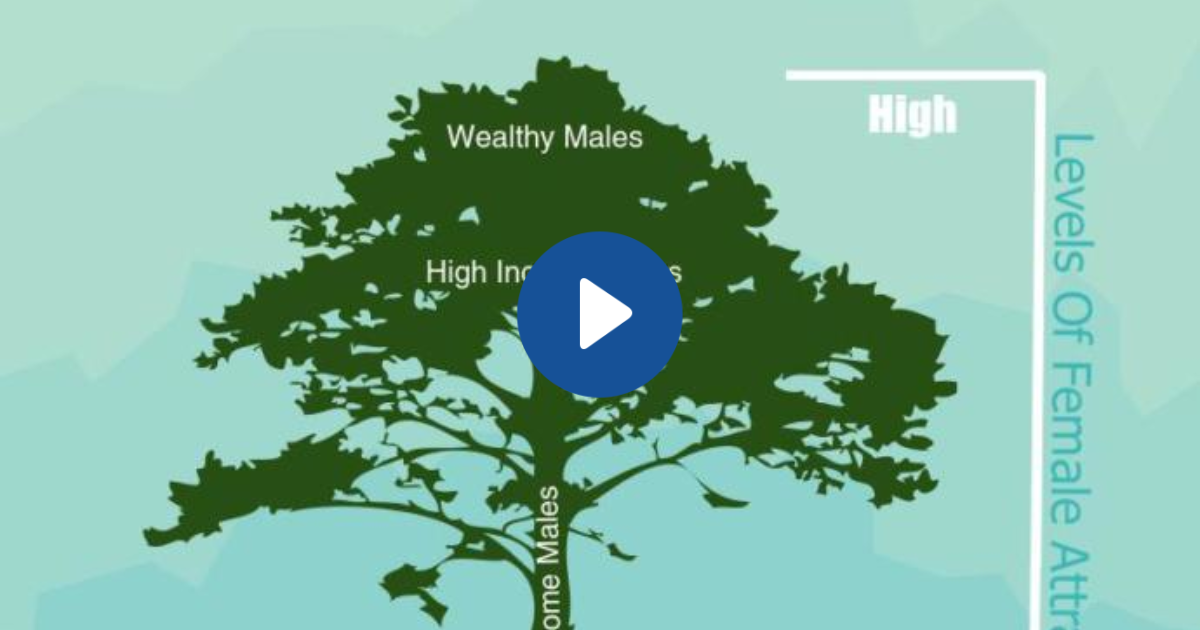 Does female hypergamy cause women to have less loyalty than men ...