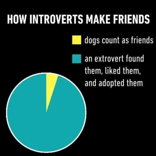 Introvert/shy girls do you like extrovert guys? Also how true is this ...
