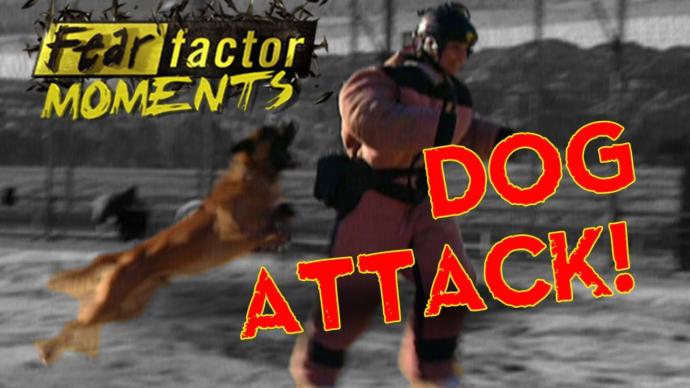 In the poll, select which Fear Factor stunt you are brave enough to do ...