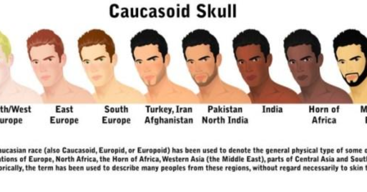 Face Plates Races Subraces And Ethnicities Of Europe