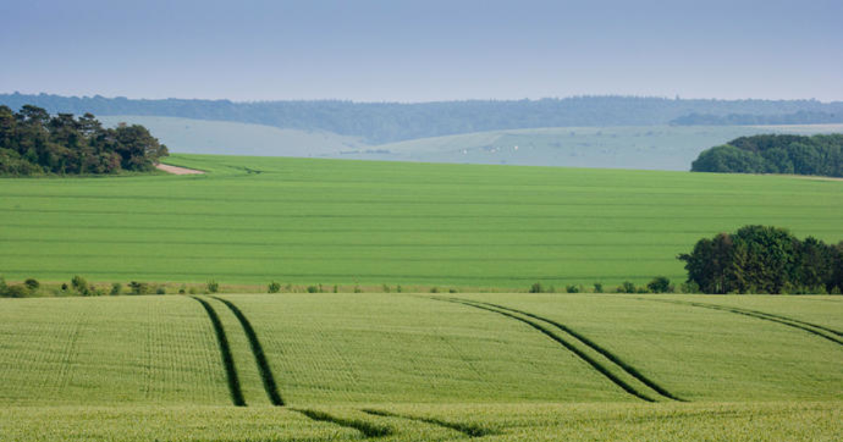 If you were given one thousand acres of land that you didn't need to ...