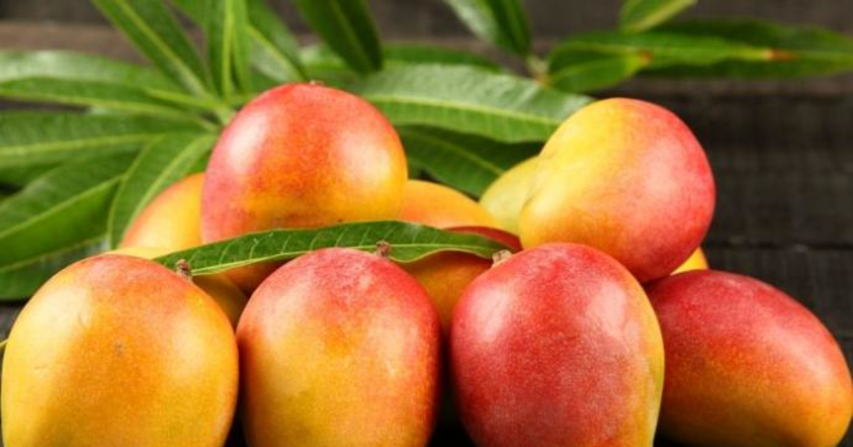 Is it true girl feet smell like mangoes? - GirlsAskGuys