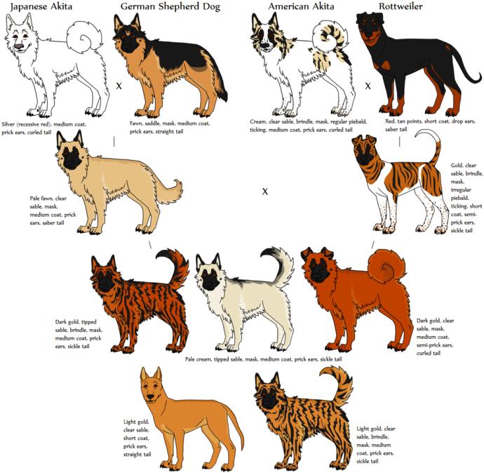 Can I breed people like the way we breed animals in some sort of ...