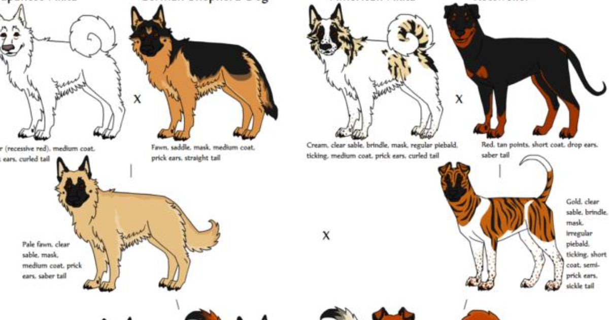 Can I breed people like the way we breed animals in some sort of ...