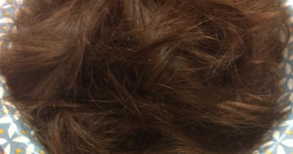 Would you eat hair pie? - GirlsAskGuys