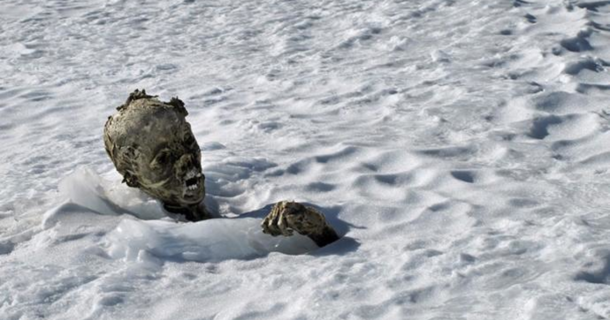 How would you react if you see an actual dead body in real life for the ...