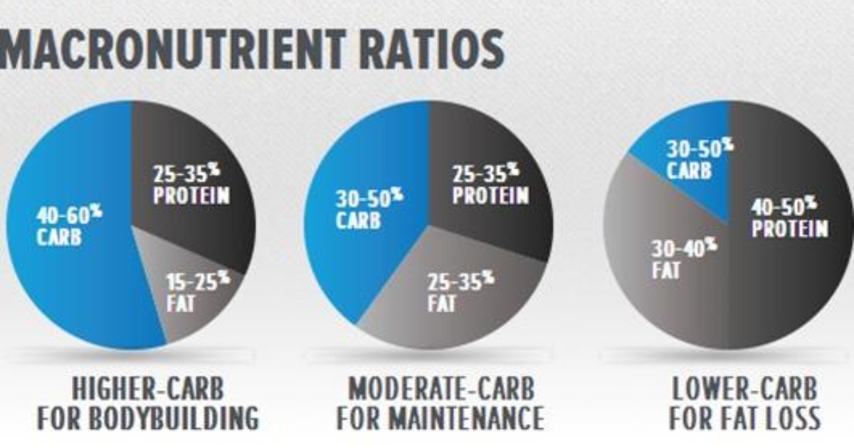 Which macronutrient ratios work best for losing belly fat? - GirlsAskGuys