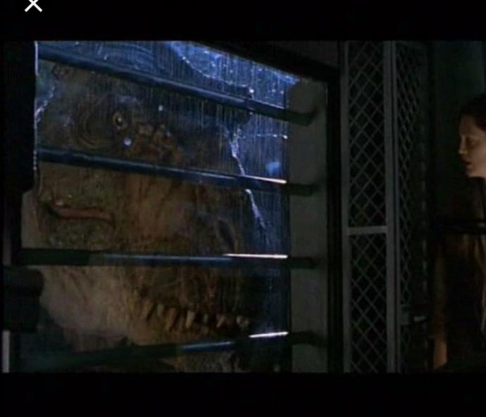 What does it look like outside your house right now? - GirlsAskGuys