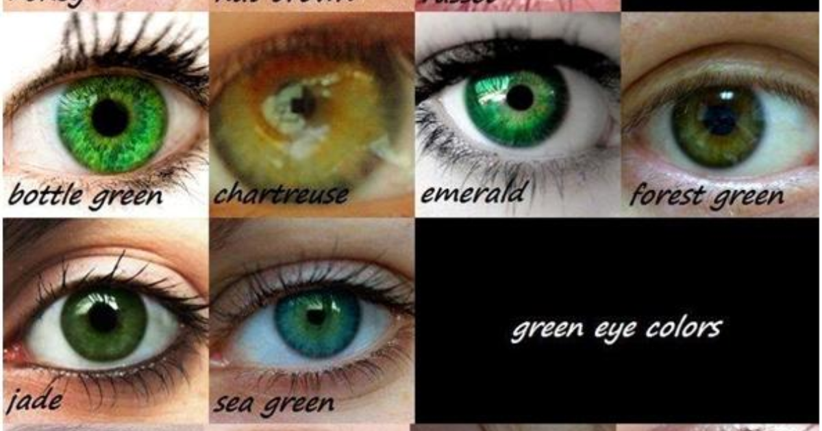 Which Eye Color Do You Find Most Attractive Girlsaskguys