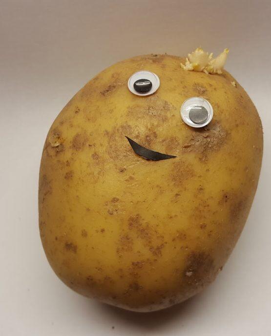 Would you rather look like a potato or feel like a potato? - GirlsAskGuys