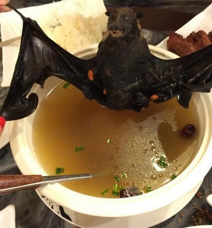Did you know that Covid-19 came from the Chinese Wet Market serving Bat ...