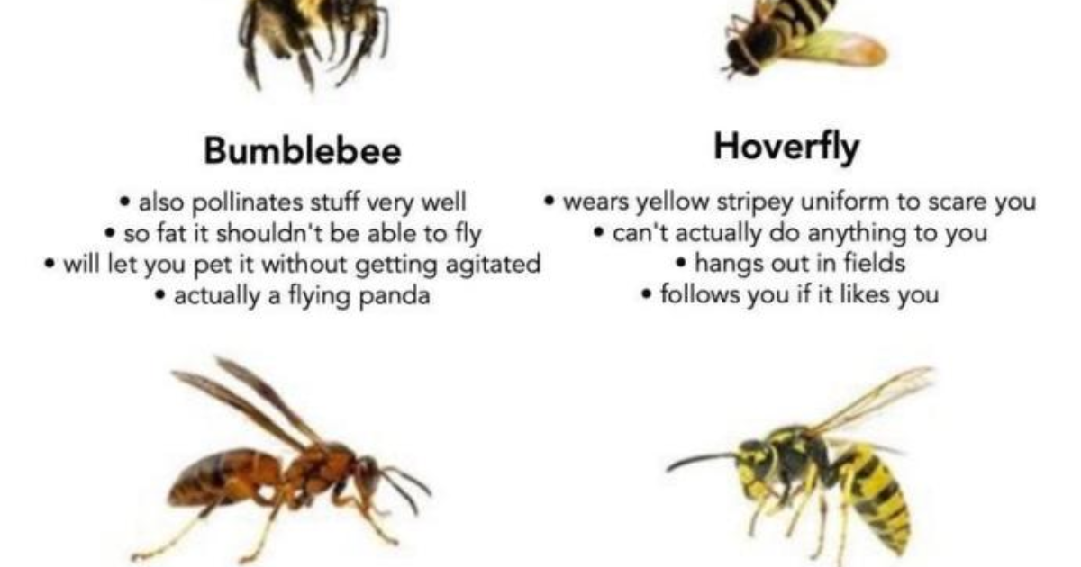 Do you know your Yellow Stripey Things? - GirlsAskGuys