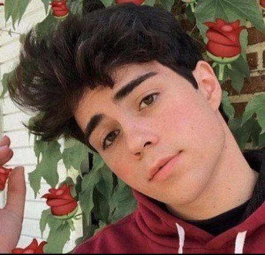 What are the key differences PHYSICALLY between a cute guy and a hot ...