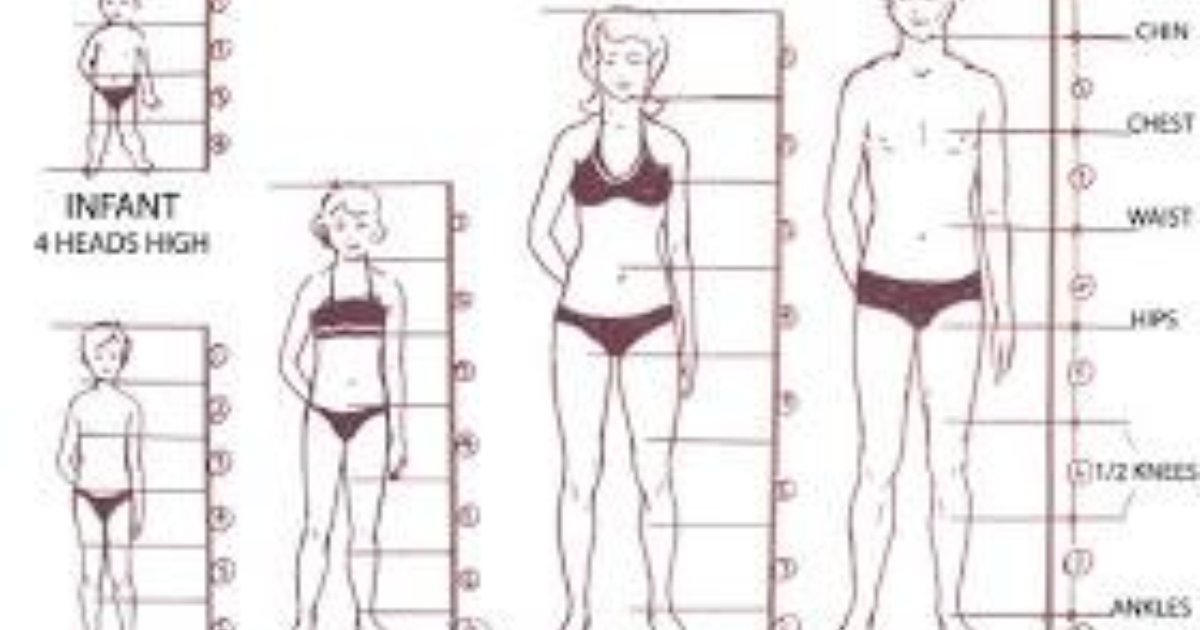 How Many Heads Tall Are You GirlsAskGuys How Many Heads Tall Are You GirlsAskGuys