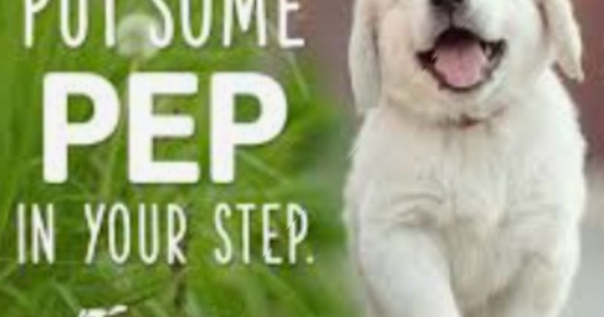 What Puts A "Pep In Your Step" ? - GirlsAskGuys