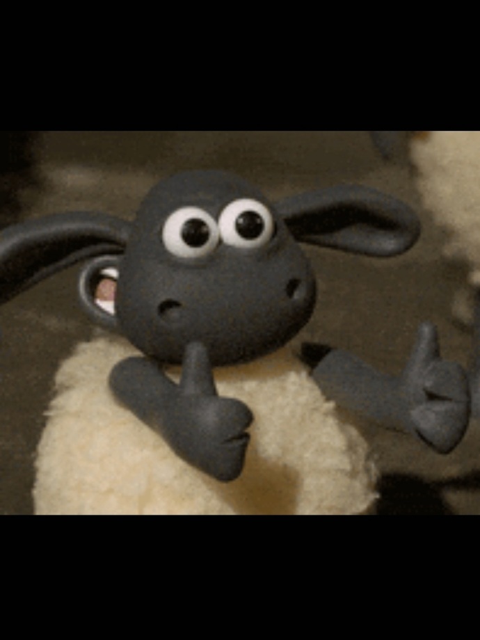 Does the sheep look like he's flipping you off or giving you a thumbs ...