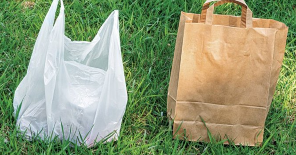 At The Grocery Store PAPER Or PLASTIC? - GirlsAskGuys