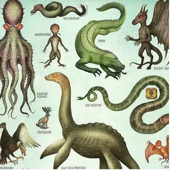 Do you believe any cryptids actually exist? - GirlsAskGuys