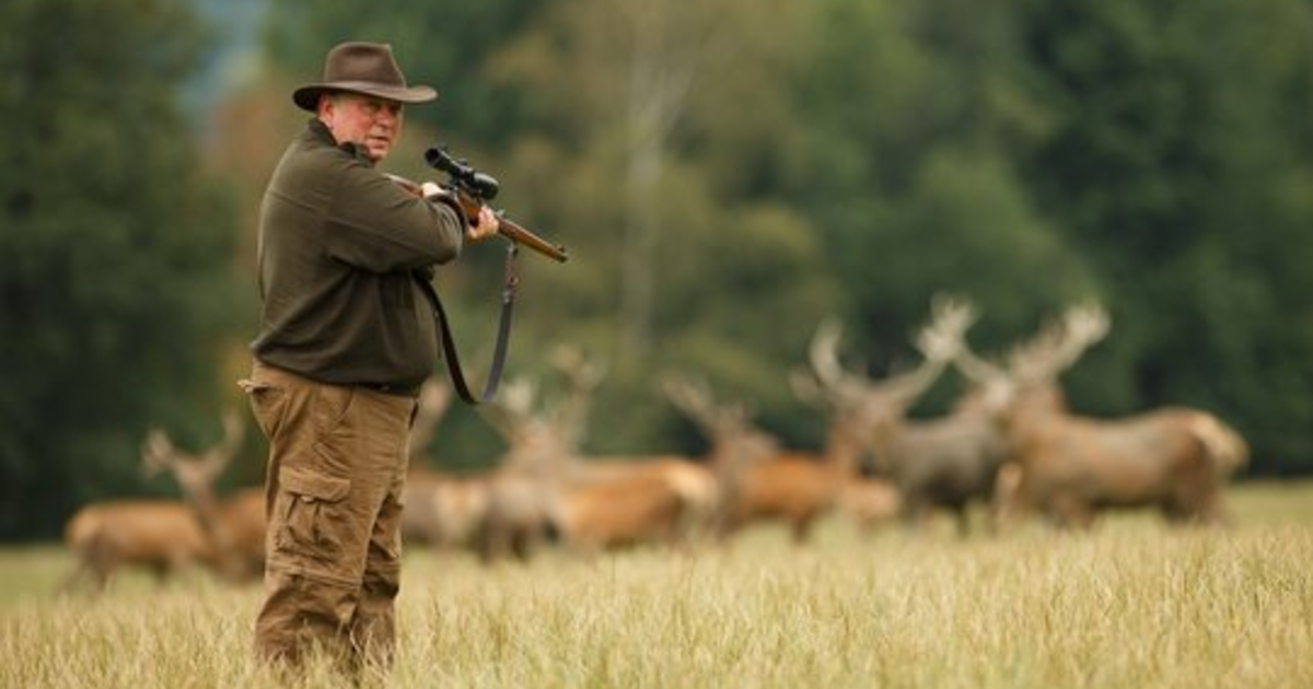 Which is better, farming your meat or hunting for your meat? - GirlsAskGuys