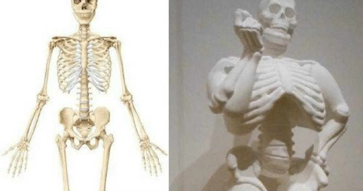 Is Big Boned a thing, or is it BS? - GirlsAskGuys