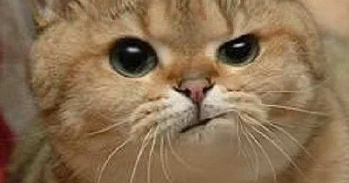 What's the most annoying Misused Idiom or English grammar mistakes, in ...