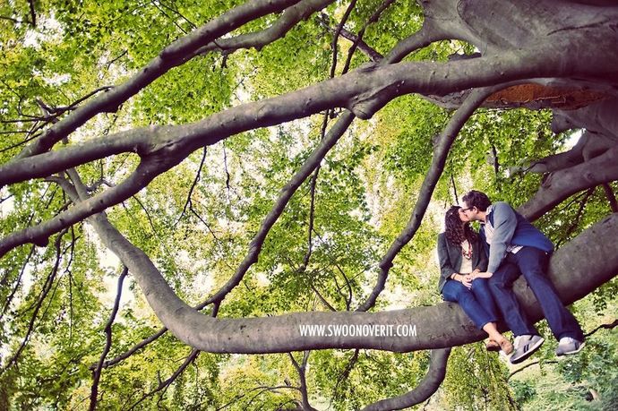 Did you ever kiss anyone in a tree before? and then did you fall in ...
