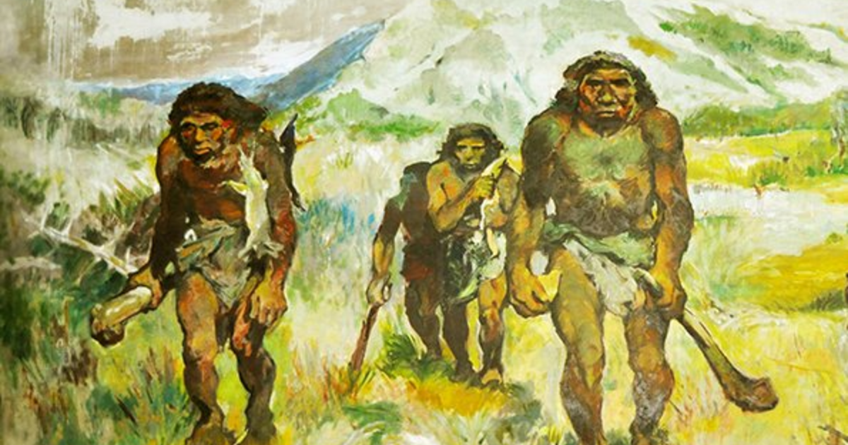 Do you think you would be a hunter or a gatherer had you lived during ...