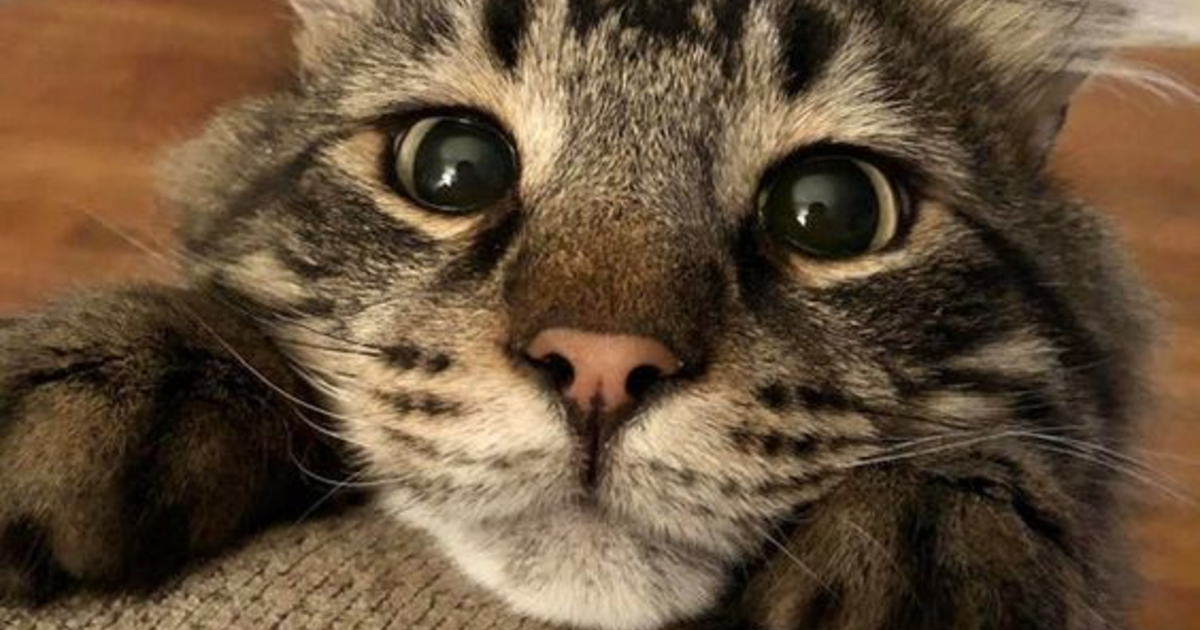 Whats your opinion on SH scars in public view? - GirlsAskGuys