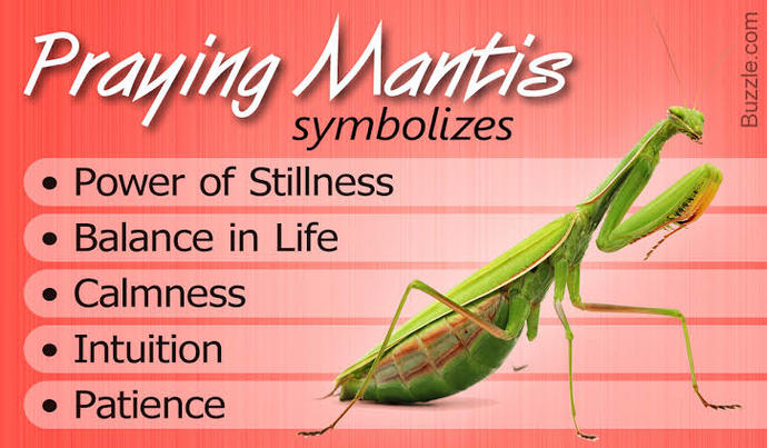 What is mantis piercing? - GirlsAskGuys