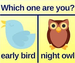 Early bird or Night owl? - GirlsAskGuys