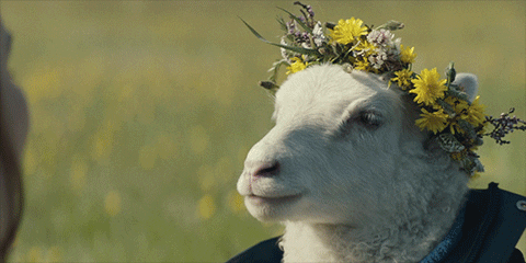 What should I say when a girl asks "What am I to you?" question ...