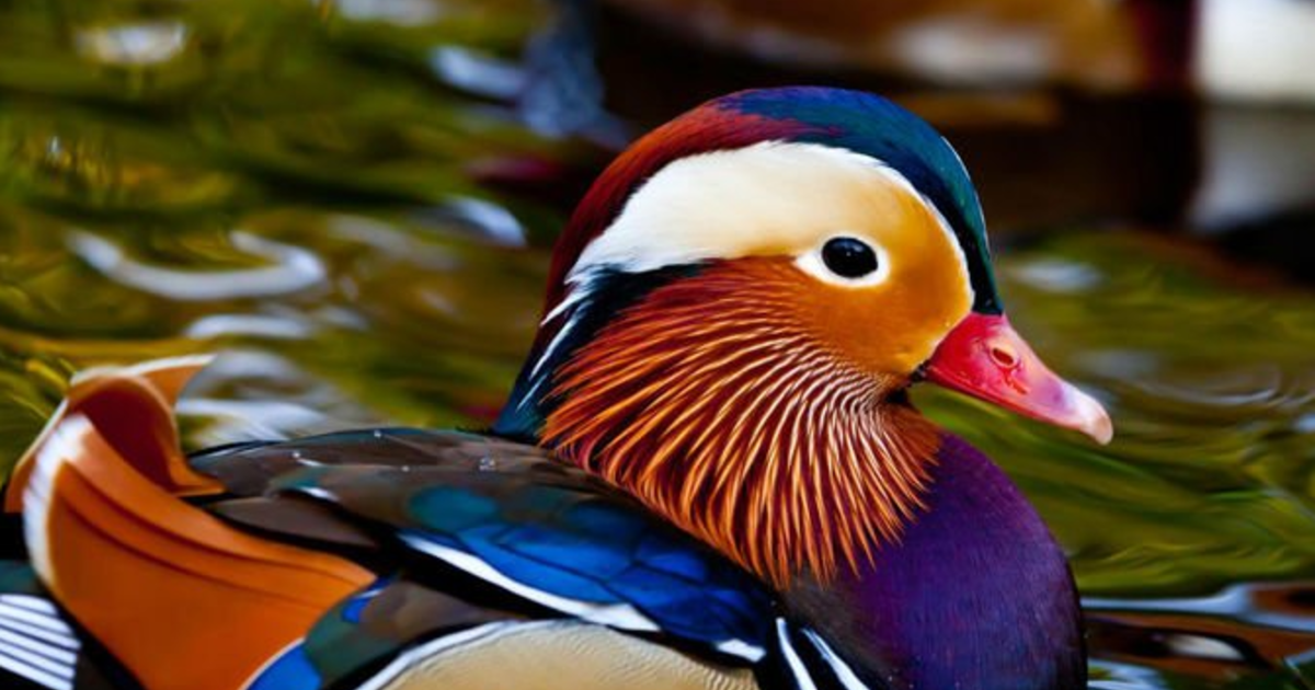 What is the most amazing animal you've seen in real life? - GirlsAskGuys