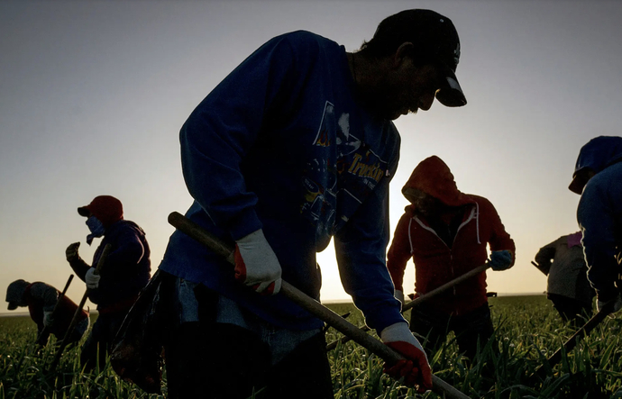 Should we trade people not working in this country for illegal ...