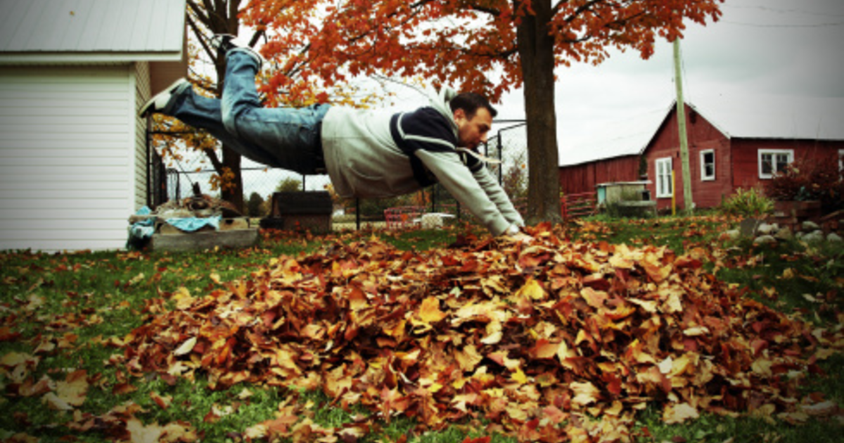 Who is ready to jump in giant piles of leaves? - GirlsAskGuys