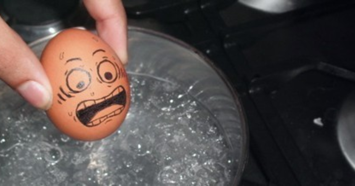 Do you know how to boil an egg without using the Internet? - GirlsAskGuys