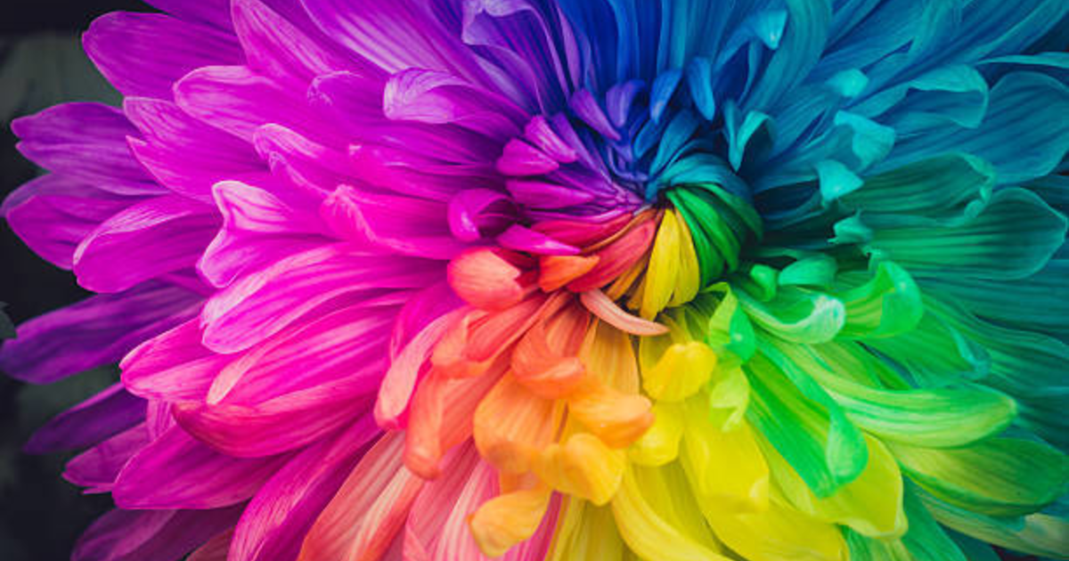 Whats your favorite color? - GirlsAskGuys