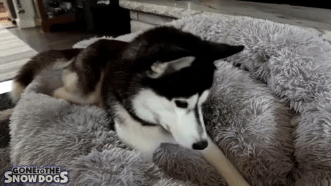 What does it mean if someone touches you and says boop? - GirlsAskGuys